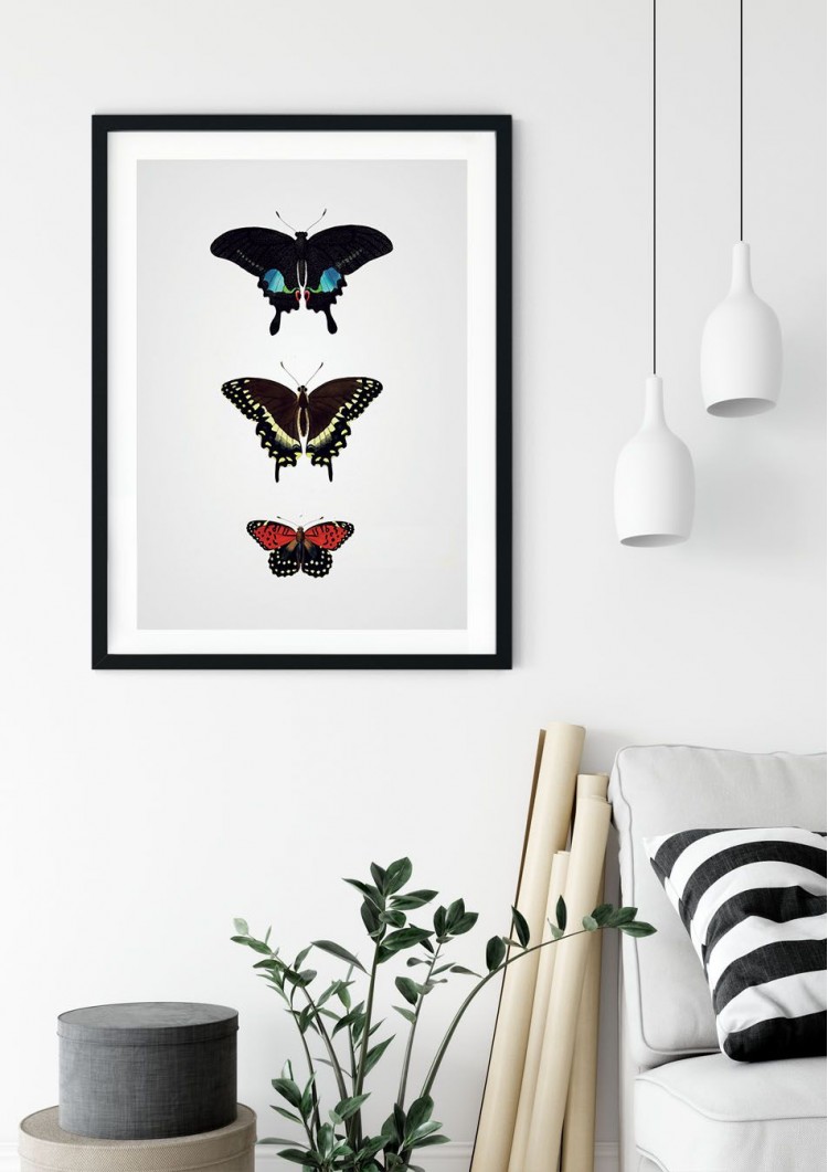 Papilio Trio Giclee Print | Living Room Wall Art & Prints from Vintiko